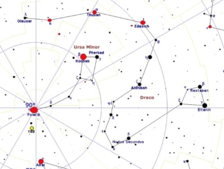 The Ciakahrr | Galactic Anthropology