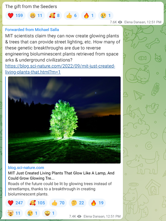 Luminescent Plants and Plants that Emit Flames | Galactic Anthropology