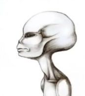 The League of the Hairless – Grays and the like | Galactic Anthropology