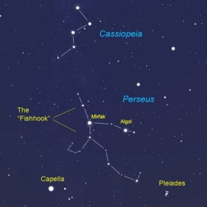 The Upukee from the Perseus System | Galactic Anthropology
