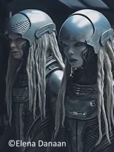 insectoids | Galactic Anthropology