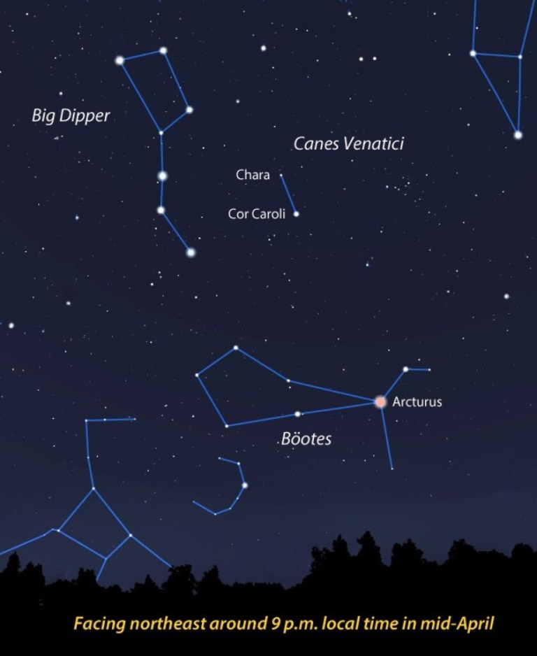 A Few Species from the Canes Venatici Constellation | Galactic Anthropology