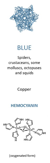 Exploring Copper-based Life Forms | Galactic Anthropology